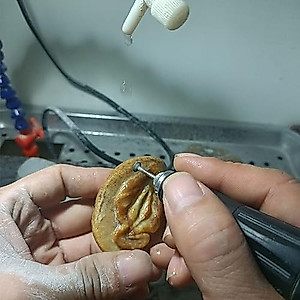 𝐋𝐮𝐨 𝐤𝐞 18 Pcs Diamond Burr Sets, 1/8 Inch Shank Diamond Mounted Stone Carving Bits for Dremel Rotary Tools