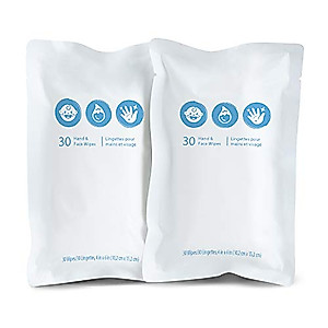 Brica Clean-to-Go Wipes Container Starter Pack, Includes 60 Unscented Hand & Face Baby Wipes, 99% Water Wipes with Chamomile & Aloe