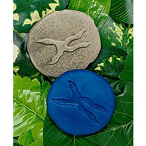 Yellow Door Let’s Investigate Woodland Footprints Double Sided Stones with Animal Tracks and Animal Picture, Create Fun Animal Games with Fossil Set, Stone, Set of 8, Toddler Toys for 3 Years & Up