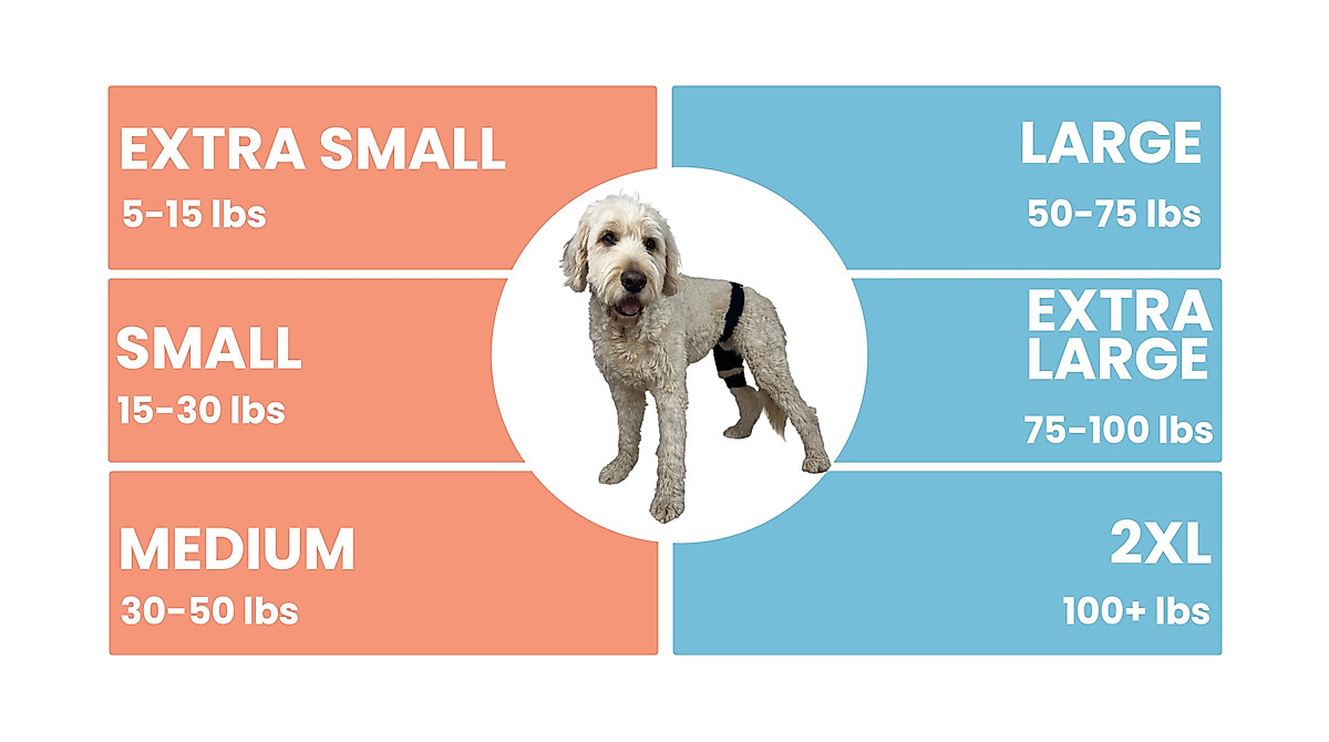 Labra Dog Knee Brace for ACL & CCL Injuries - Extra Large