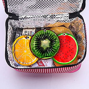 Reusable Ice Pack for Lunch Box- Cooler Pack Lunchbox - Keep Food Fresh- Perfect for Everyone's Lunch Preservation (3 pack)