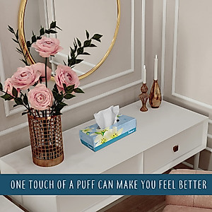 Finetouch Soft Facial Tissues 2 Ply Box Of 130 Pack of 6 (780 Facial Tissues Toatal) Family Pack (6) Design may Vary