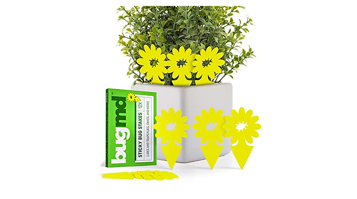 BugMD Sticky Bug Traps - Effective Indoor & Outdoor Pest Control