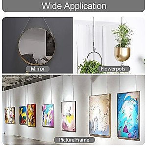 Wgbon 2Pcs Adjustable Picture Hanging Wire, Upgrade Mirror Frame Hanging Kit, 6.6FT Heavy Duty Stainless Steel Wire Rope, Supports Up to 100lbs