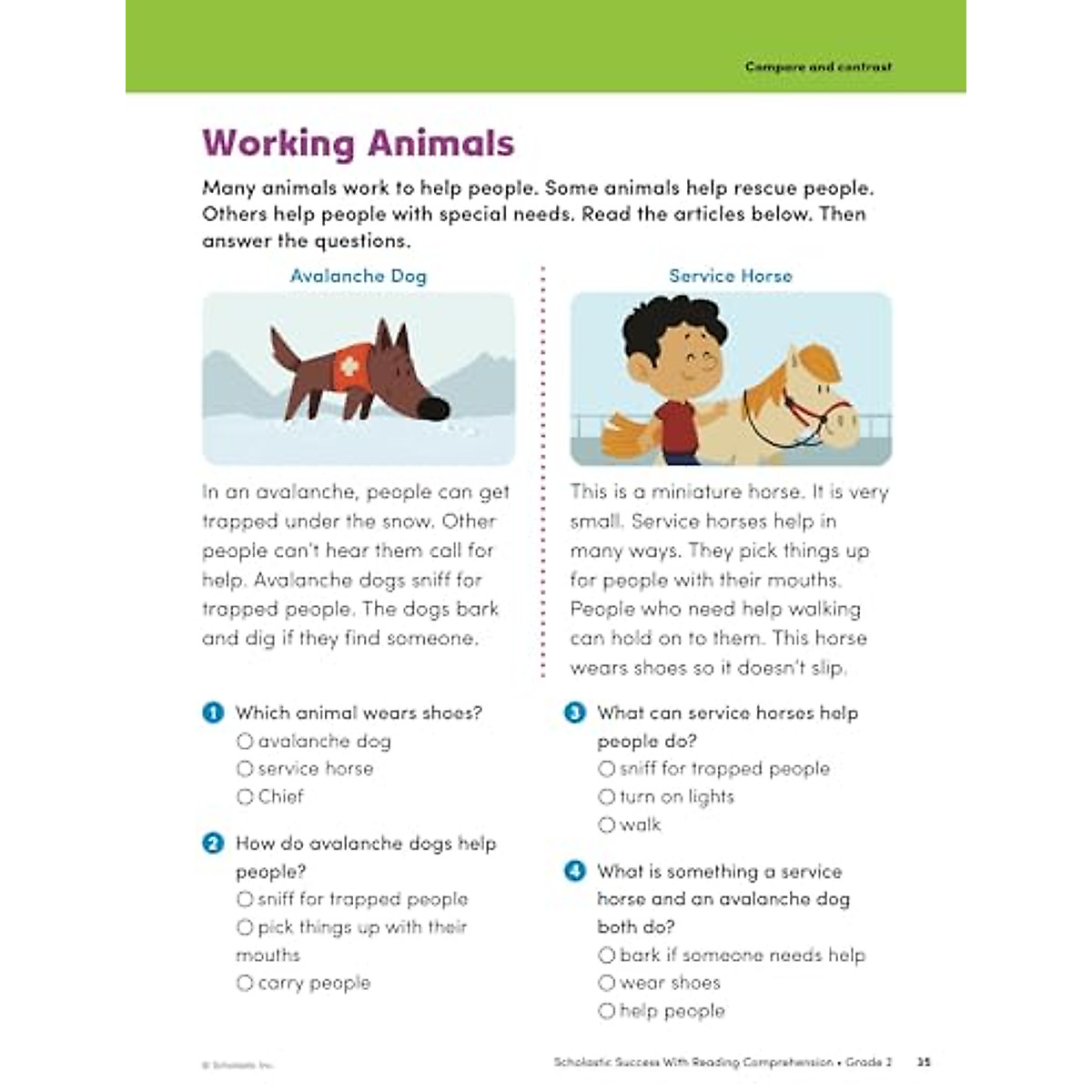 Scholastic Success with Reading Comprehension Grade 2 Workbook (Scholastic, Grade 2)