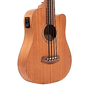 Gold Tone M-BassFL 23-Inch Scale Fretless Acoustic-Electric MicroBass with Gig Bag