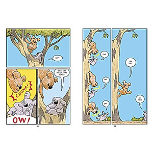 Surviving the Wild: Rainbow the Koala