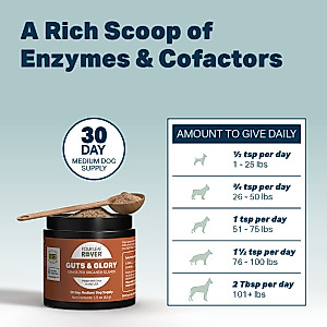 FOUR LEAF ROVER: Guts & Glory - 100% Grass-Fed Raw Beef Organs for Dogs - 10 to 45 Day Supply, Depending on Dog’s Weight - Easy to Mix - Vet Formulated - for All Breeds
