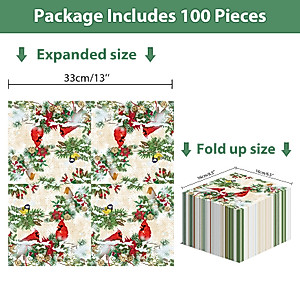 100pcs Christmas Cardinal Guest Napkins 3 Ply Disposable Paper Pack Red Cardinal Bird Paper Luncheon Dinner Hand Napkins Cardinals Birthday Party Decor Bird Party Supplies