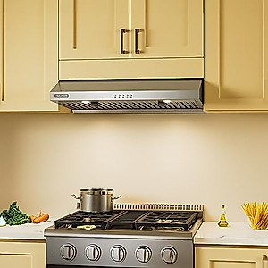 Empava Slim Range Hood 30 Inch Under Cabinet Ducted, Dual Sealed Aluminum Motor, 3-Speed, 400 CFM, Permanent Filters, Push Button Control Stainless Steel, 30 in. RH08