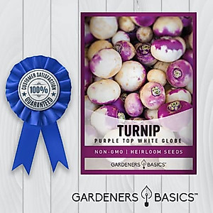 Turnip Seeds for Planting (Purple White Top Globe) Heirloom, Non-GMO Vegetable Variety- 1 Gram Seeds Great for Summer, Fall and Winter Gardens by Gardeners Basics