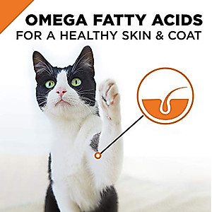 Title: Purina Pro Plan Grain Free Wet Cat Food Pate, COMPLETE ESSENTIALS Beef & Carrots Entree Classic - Grain Free - Beef, 5.5 Ounce (Pack of 24)