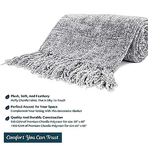 PAVILIA Chenille Tassel Fringe Throw Blanket | Velvety Textured Decorative Knit Throw for Sofa Couch Bed | Soft Boho Woven Cozy Lightweight Knitted Throw | Light Grey 50 x 60 Inches