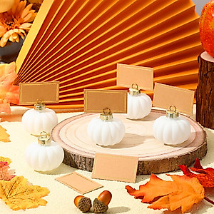 Soaoo 24 Set Thanksgiving Glass Harvest Pumpkin Place Card Holders with Thanksgiving Greeting Cards Fall Pumpkin Decor Table Name Holders Table Sign Card Holder for Thanksgiving Wedding Party (White)