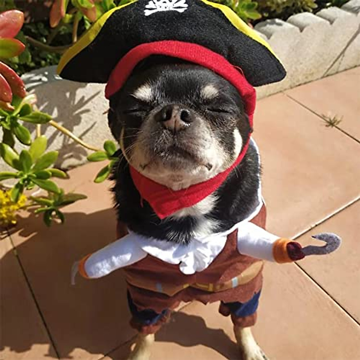 Meihejia Cat Pirate Costumes - Super Cute Pet Pirate Costume for Small Dogs & Cats (Small)