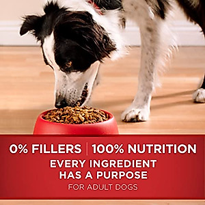 Purina ONE Dry Dog Food Lamb and Rice Formula - 16.5 lb. Bag