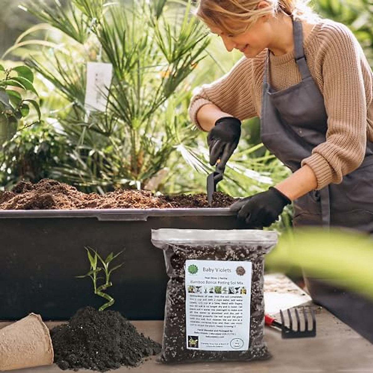 Bamboo Bonsai Plant Potting Soil Mix Peat Moss & Perlite (½ Gallon / 2 quarts). Repot Ficus, Lucky Bamboo Soil