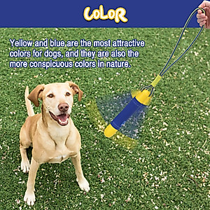 TAILGOO Dog Pool Fetch Toys Interactive Water Floating Toys Outdoor Beach Training Bumpers for Summer, 2 Pack, 10"