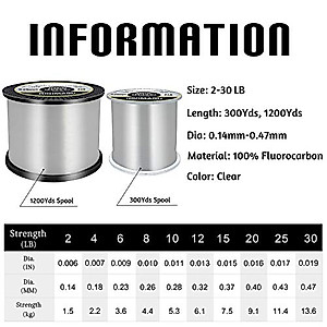 RIKIMARU Fluoro Fishing Line, 100% Fluorocarbon Coated Fishing Line (Clear, 4LB/0.18mm/300Yds)