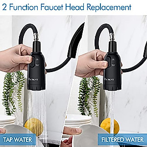FAURANT Kitchen Faucet Head Replacement, Pull Down Water Filter for Kitchen Sink, Pull Out Sink Sprayer for G1/2 Connector, Black 1 Faucet+2 Filters