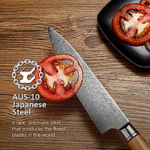 Master Maison Authentic 8" Damascus Steel Chef Knife With Full-Tang Wood Handle, Sheath, Sharpening Stone, Storage Box, & Drying Cloth | AUS-10 Japanese Ultra Sharp Stainless Steel Chef's Knife Set