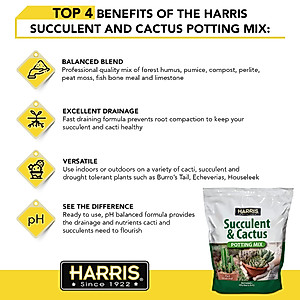Harris Premium Succulent and Cactus Potting Soil Mix, Fast Draining with Added Nutrients, 4 Quarts