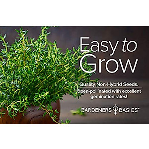 Thyme Seeds for Planting is A Heirloom, Non-GMO Herb Variety- Thymus Vulgaris Herb Seeds Great for Indoor and Outdoor Gardening by Gardeners Basics