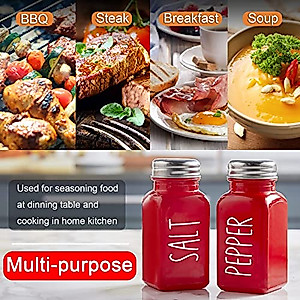 Red Salt and Pepper Shakers Set - Red Farmhouse Kitchen Decor and Accessories - Cute Glass Salt Shaker for Kitchen and Table