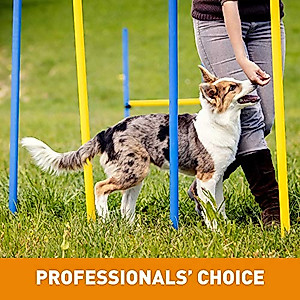 Cloud Star Tricky Trainers Crunchy Dog Training Treats 5 oz Pouch, Cheddar Flavor, Low Calorie Behavior Aid with 680 Treats