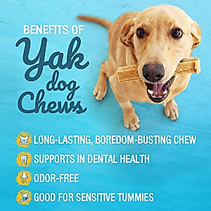 Pawstruck Himalayan Yak Dog Chew Pet Food (3-4 oz. Pieces, 3 Pack) Natural Yak & Cow Milk/Cheese from Himalayas Long-Lasting, Jumbo Treat for Dog, Best Thick Chew Stick, 4 Ounces