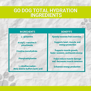 K9 Power Go Dog Hydration & Performance Drink Mix 1 lb - Active Dog Supplement for Muscle Function, Endurance, Recovery, with Electrolytes Support