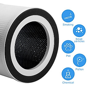 GoKBNY 2-Pack H06 True HEPA Replacement Filter, Compatible with HIMOX Purifier H06/Afloia Gala Purifier/Compass Home Small Room Purifier, 3-in-1 HEPA Filters