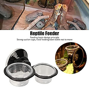 Reptile Food Water Feeding Bowl Crested Gecko Feeding Ledge Reptile Food and Water Cups for Small Pets (Double Bowl)