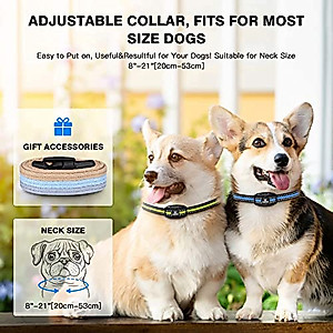 Laptom Pro 2 Pack Smart Dog Bark Collar - 5 Adjustable Sensitivity/Vibration&Sound/Rechargeable/IPX7 Waterproof - No Shock Bark Control Training Collar for Small Medium Large Dog (V1)