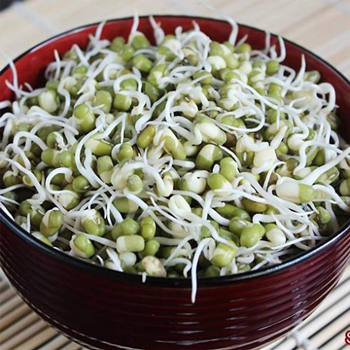 Whole dried Organic Mung Beans aka 'Green Gram' 'Maash' 'Moong' Prewashed Clean Ready to Cook non GMO (Natural, 25 Pound)