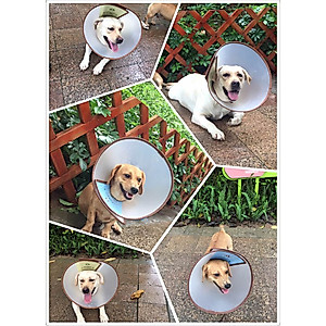 Gmaso Pet Recovery E-Collar for Pet Dogs & Cats,Professional Adjustable Recovery Collar for Surgety,Wound Healing Protection (S)