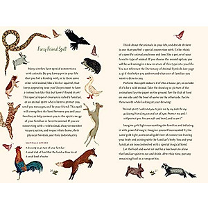 The Little Witch's Book of Spells