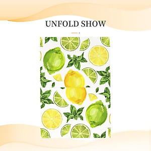 Watercolor Citrus Multi Thank You Cards With Envelopes, Blank Greeting Note Cards With Envelopes Blank Inside, Funny Birthday Cards For Women Men, Thank You Card For Wedding Business,Graduation