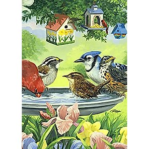 Toland Home Garden 119474 Bathing Birds Spring Flag 12x18 Inch Double Sided Spring Garden Flag for Outdoor House Flag Yard Decoration