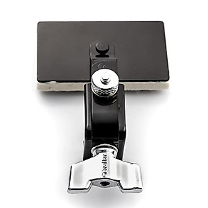 Gibraltar SC-4235 External Tone Control