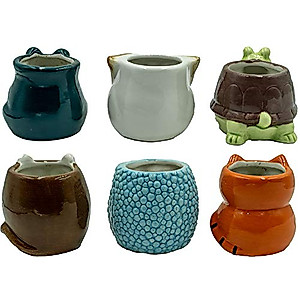 Matty's Garden Animal Ceramic Succulent Planters Set of 6 | 2.5 Inch Small Cactus Pots with Drainage Hole Raccoon Owl Turtle Hedgehog Frog Fox