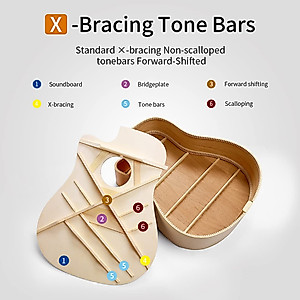 Lankro 38 in Guitar Acoustic Guitar Beginner kit Adult Cutaway Acoustic Guitar Guitarras Starter Set Bundle with Padded Gig Bag, Strap, Capo, Strings, Picks