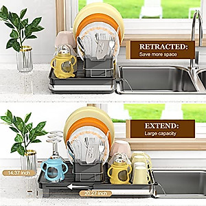 Dish Drying Rack- Space-Saving Expandable Large Capacity Dish Rack for Kitchen Counter, Kitchen Dish Drainer with Utensil Holder, Drying Rack for Kitchen Counter Dishes, Knives, Spoons, Forks (白蜡虫可