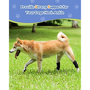 Huimpet Short Rear Leg Hock Brace, Dog Leg Braces for Back Leg with Flexible Velcro, Dog ACL Brace hind Leg, Hock & Ankle Support, Dog Leg Sleeve Protect Wound and Pain Relief, Medium,1 Pair, Black