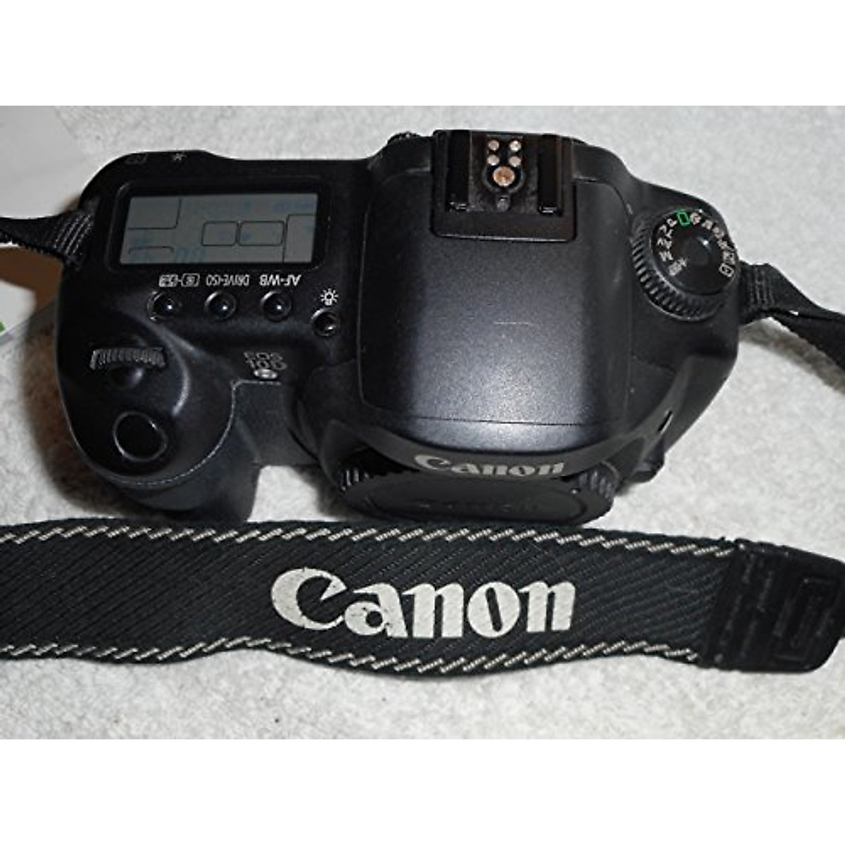 Canon EOS-10D DSLR Camera (Body Only)