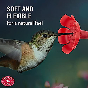 Perky-Pet 91RF Replacement Red Hollyhock Flower Ports & Perches-6 Pk