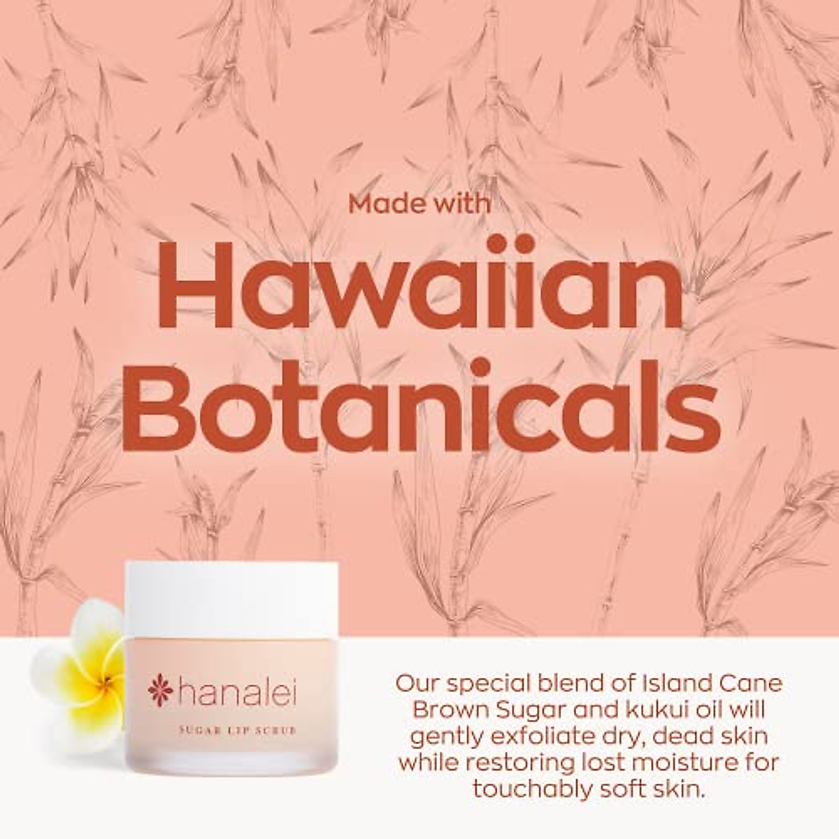Vegan and Cruelty-Free Sugar Lip Scrub Exfoliator by Hanalei – Made with Hawaiian Cane Sugar, Kukui Oil, and Shea Butter to Exfoliate, Smooth, and Brighten Lips Made in the USA (22 g)