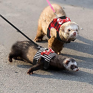 4 Pieces Small Pet Harness Vest and Leash Set with Cute Bowknot and Safe Bell Decor Chest Strap Harness for Outdoor Walking Rabbit Ferret Guinea Pig Bunny Hamster Puppy Kitten (Small)