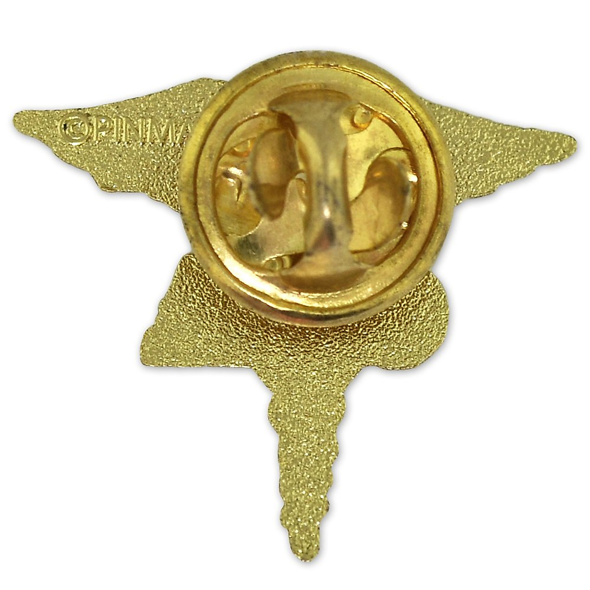 PinMart's Caduceus Nursing Enamel Lapel Pin - Ideal CNA or Medical Assistant Badge - Patient Care Technician Accessories for Lanyards and Nursing Scrubs or CNA Graduation Gifts and Pinning Ceremonies