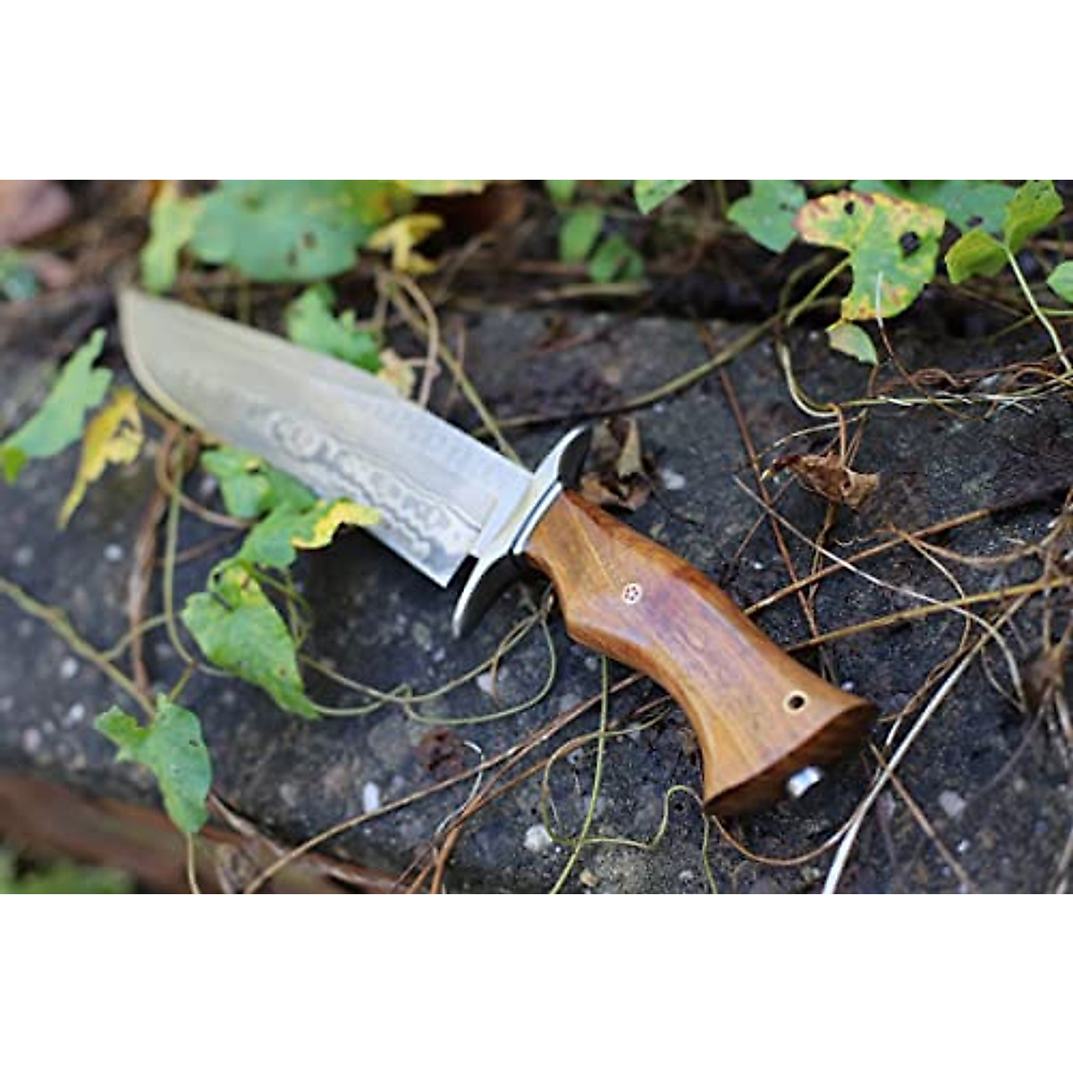 kaswah Handmade Damascus Steel Hunting Knife with Hand Stitched Leather Sheath - 14" Fixed Blade Knife with Solid Rosewood Wood Handle - EDC Survival Knife for Men